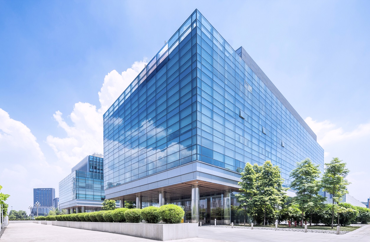 Initial Public Offerings